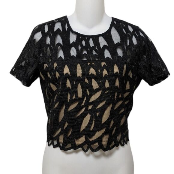 Benjamin Jay | Tops | Benjaminjayblack Lace Illusion Cropped Topxs ...